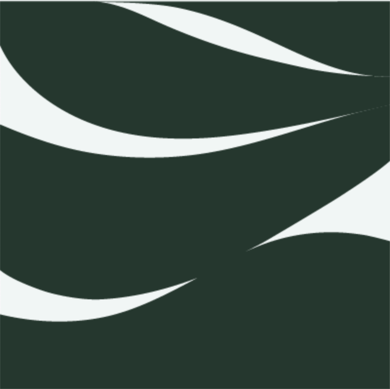 Wilderness Media · AIGC Studio